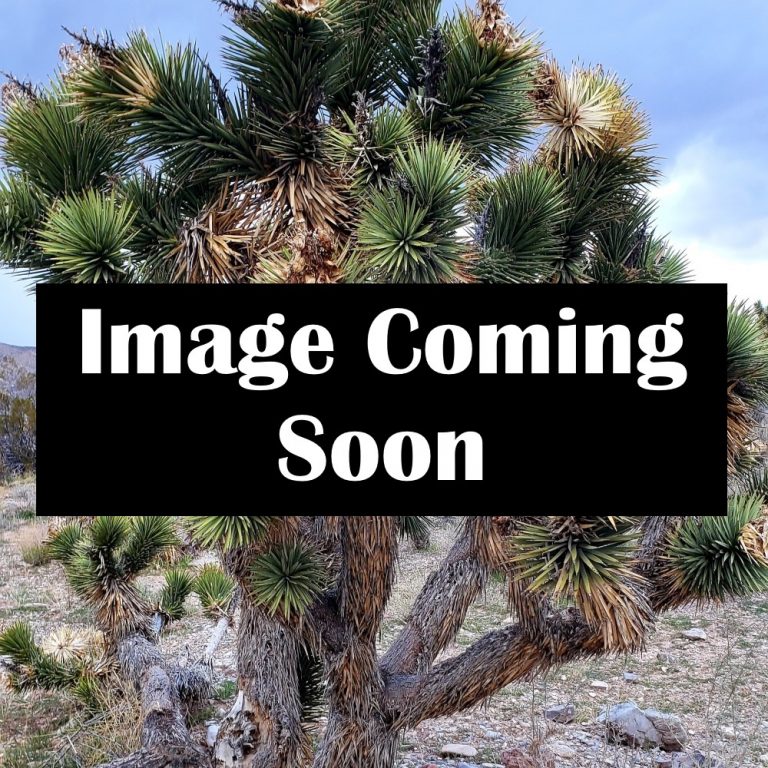 Shade Trees - Desert Shade Nursery